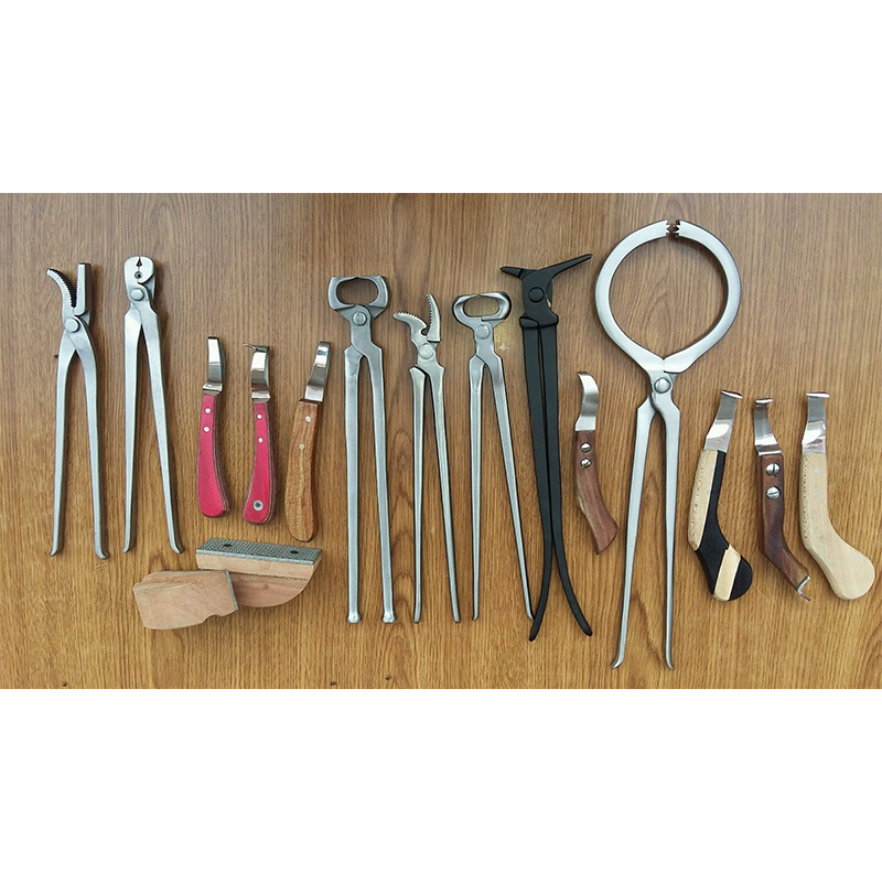 Veterinary Farrier Tools Set – PD Surgical